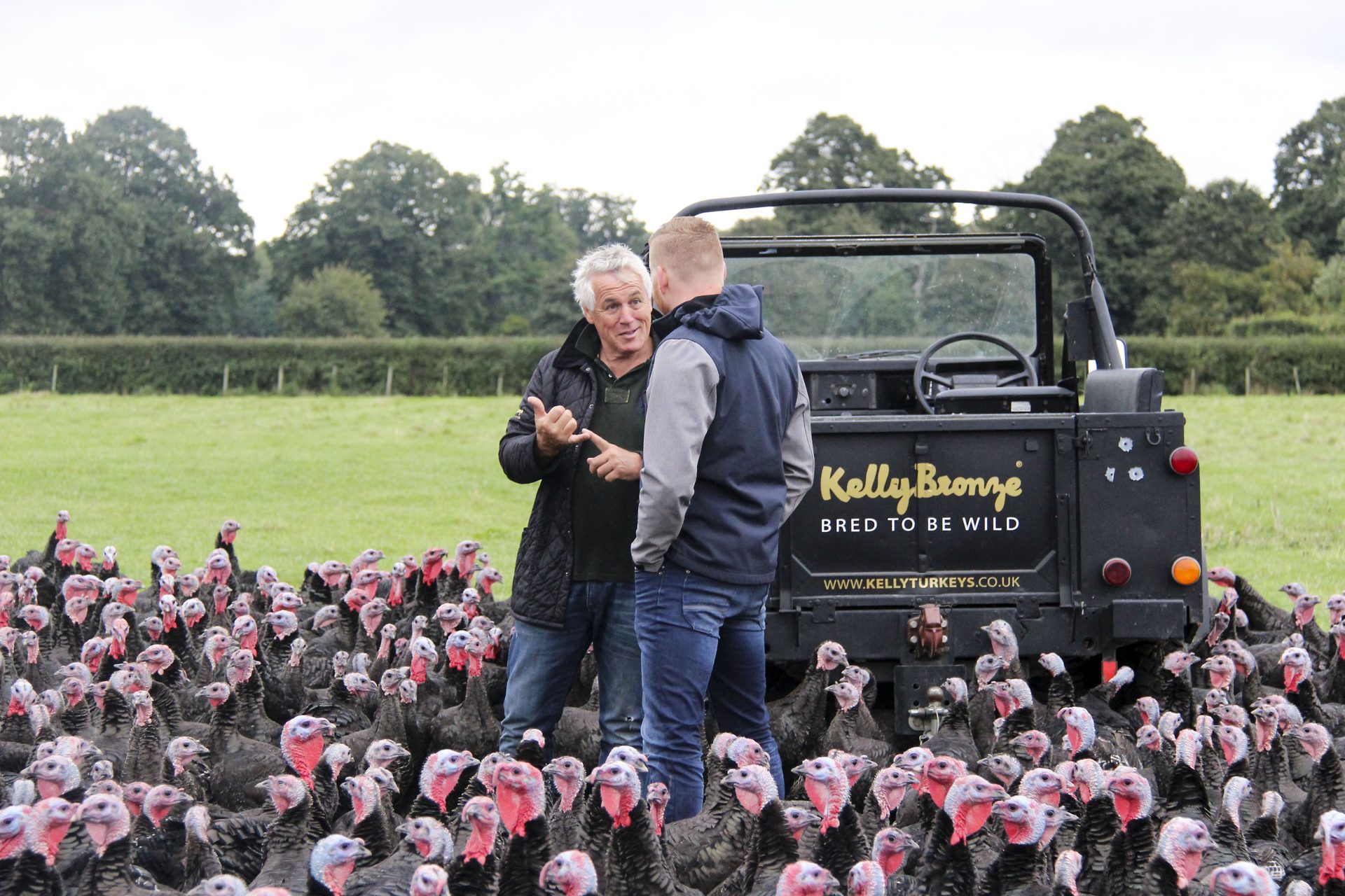 Onze Boerderij | Kalkoen