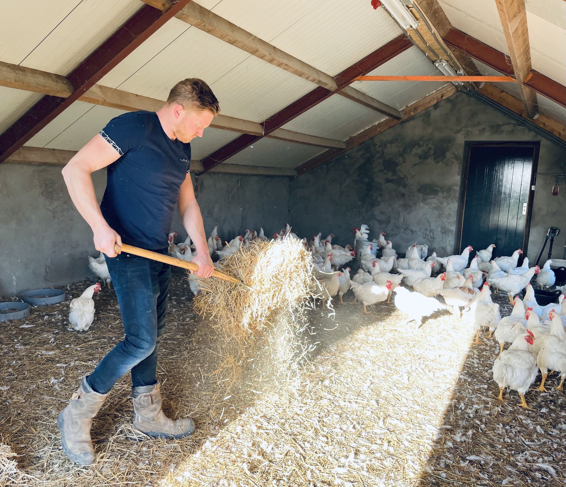 Onze Boerderij | Kalkoen